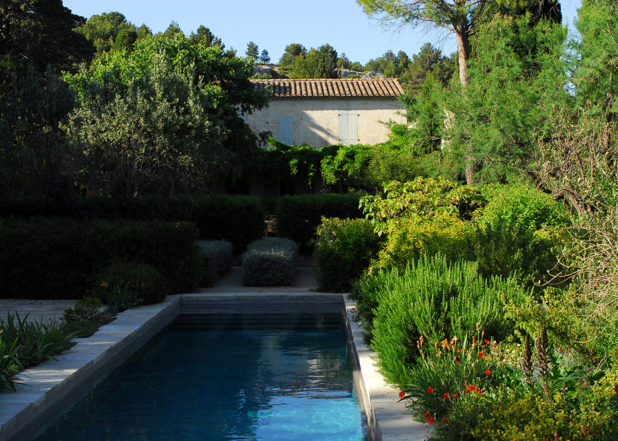 Mas Provençal – Maxime d'Angeac